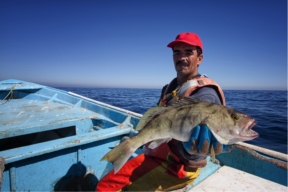 Reduce Overfishing and Improve Livelihoods of Artisanal Fishers ...