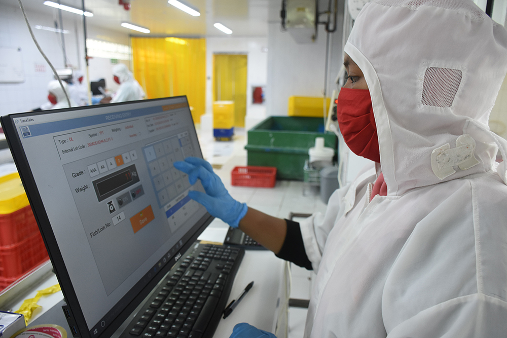 Supporting supply chain traceability in small-scale tuna fisheries ...