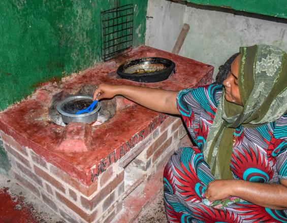 Fuelling Sustainability: Improved Cook Stoves for Sustainable Mangrove ...